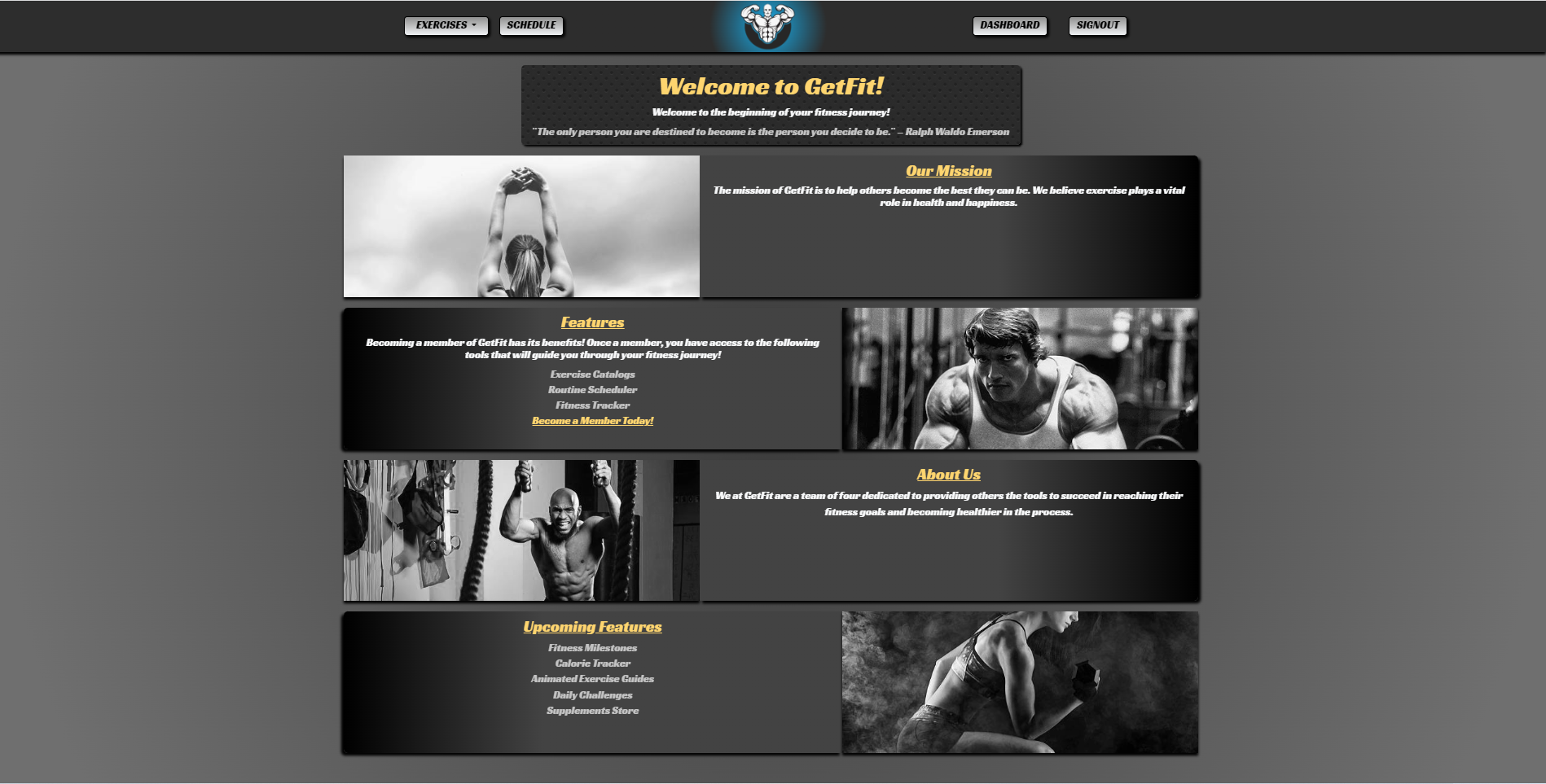 Jelena Rogic Portfolio